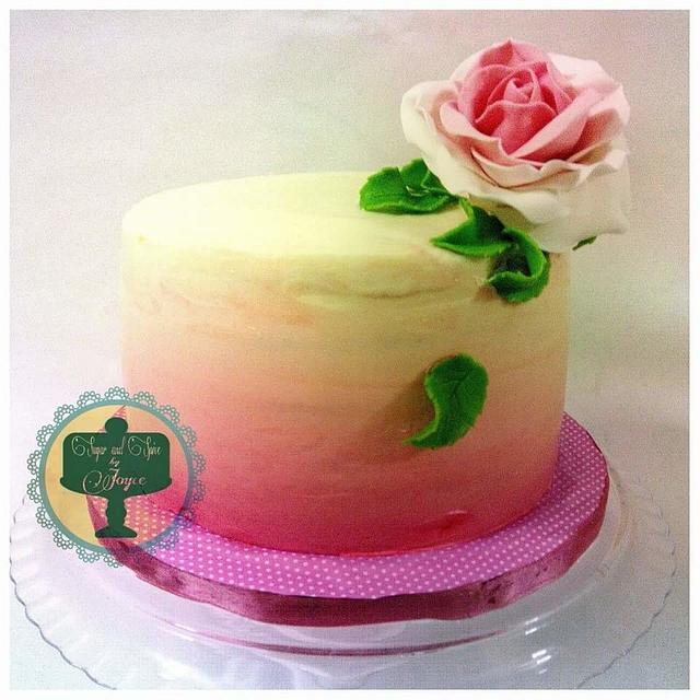 Pink Ombre Cake Decorated Cake By Reena Joyce Cakesdecor