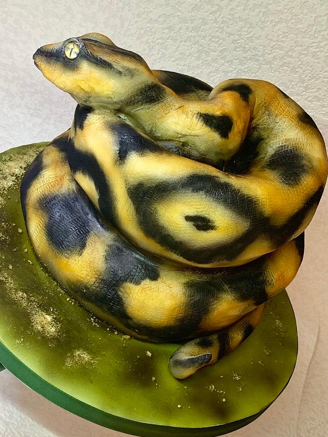 Python - Cake by Andrea - CakesDecor