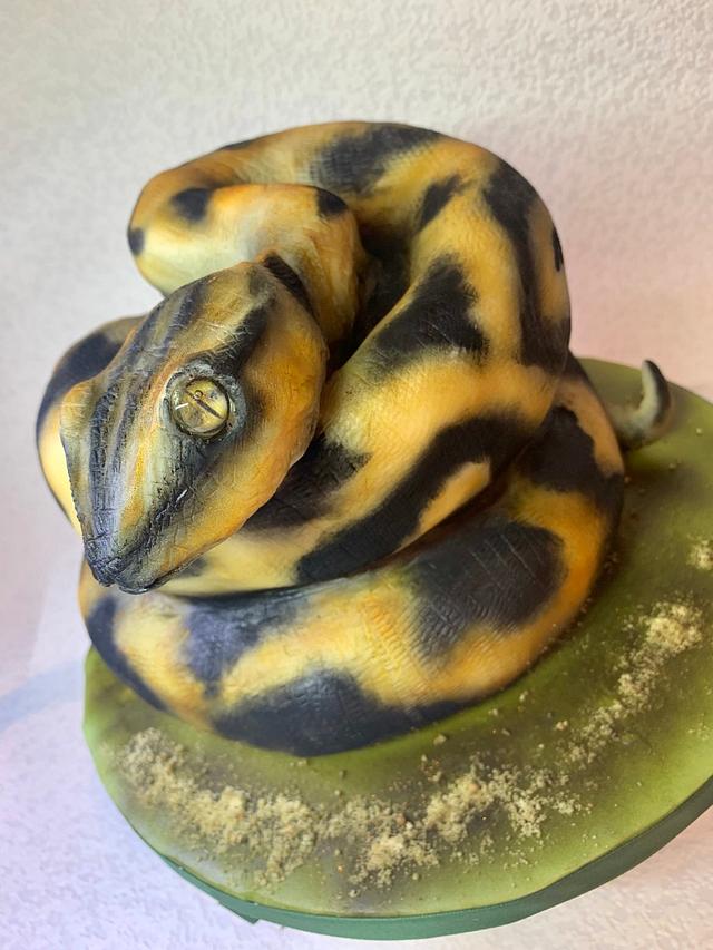 Python - Cake by Andrea - CakesDecor