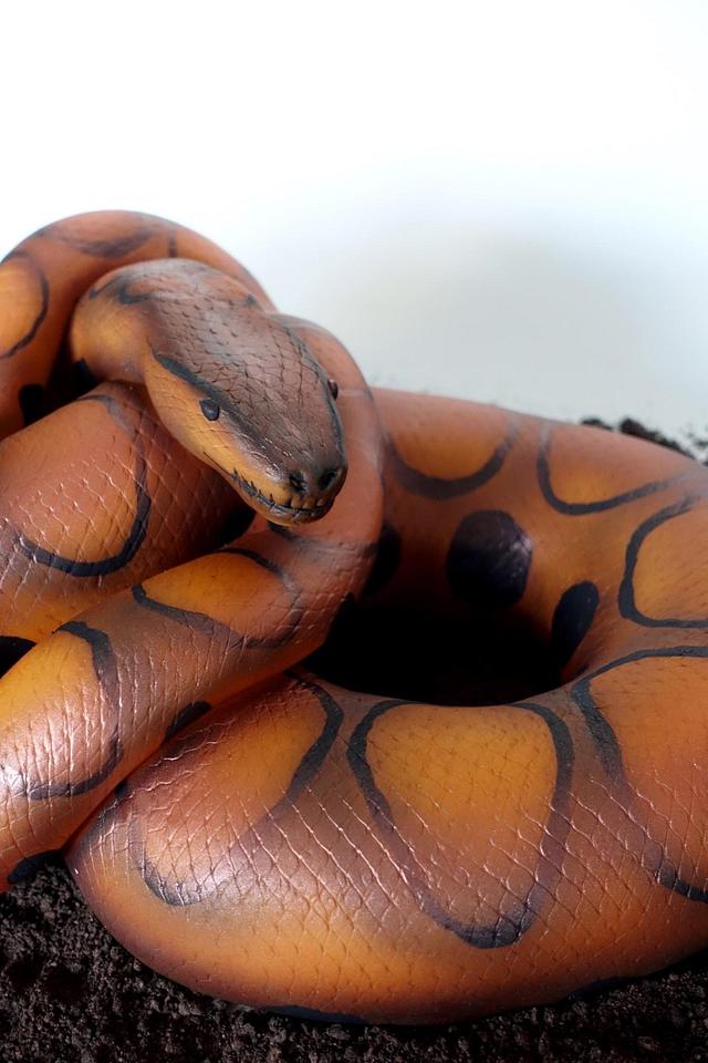 Python Cake - Cake by Sweet Tiers - Helena Kastanis - CakesDecor