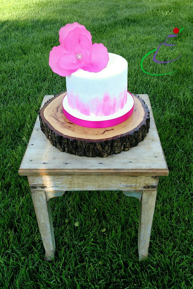 Pink Lady Decorated Cake By Cassandra Rice Cakesdecor